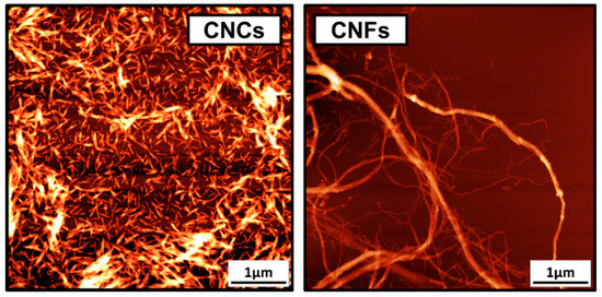 A Review of the Surface Modification of Cellulose and Nanocellulose ...