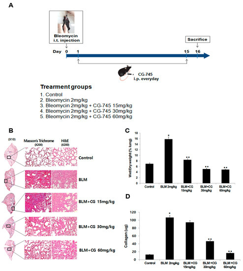 The Anti-Fibrotic Effects of CG-745, an HDAC Inhibitor, in Bleomycin ...