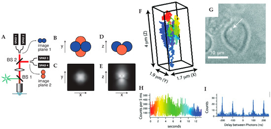 Real-Time 3D Single Particle Tracking: Towards Active Feedback Single ...