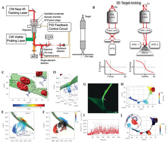 Real-Time 3D Single Particle Tracking: Towards Active Feedback Single ...