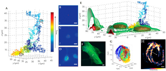 Real-Time 3D Single Particle Tracking: Towards Active Feedback Single ...