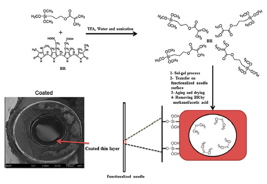 Recent Applications of Molecularly Imprinted Sol-Gel Methodology in ...