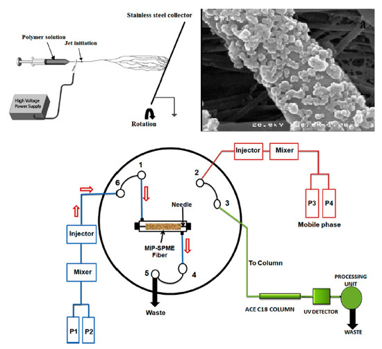 Recent Applications of Molecularly Imprinted Sol-Gel Methodology in ...