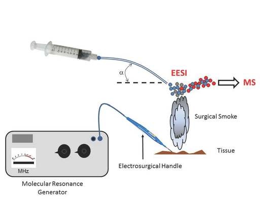 Molecules | Special Issue : Development and Application of Molecular ...
