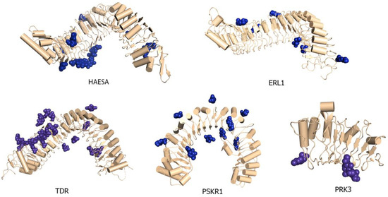 Plant Leucine-Rich Repeat Receptor Kinase (LRR-RK): Structure, Ligand ...