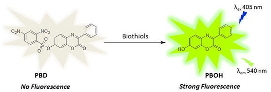 A 7-Hydroxybenzoxazinone-Containing Fluorescence Turn-On Probe for Biothiols and Its Bioimaging ...