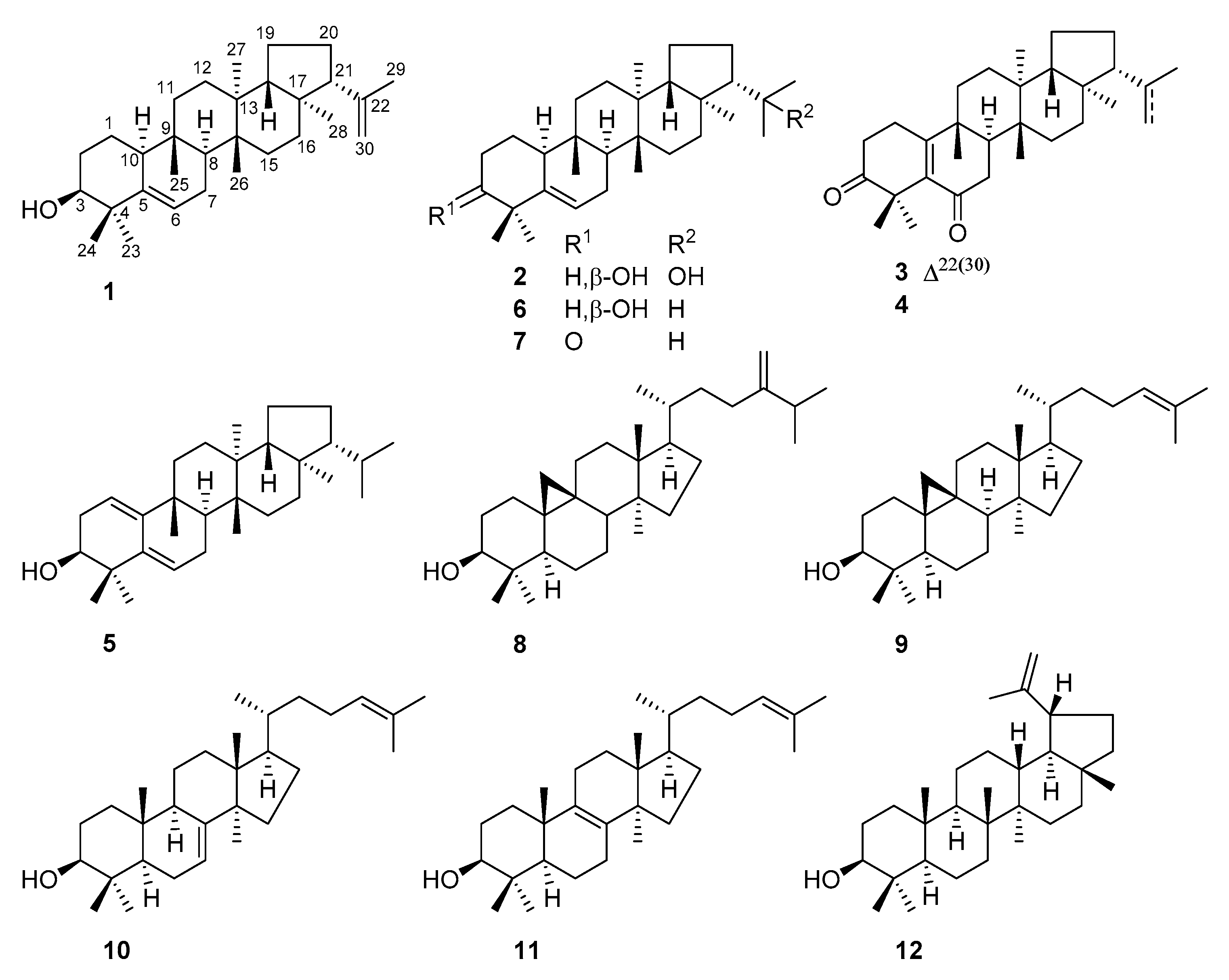Molecules | Free Full-Text | New e:b-Friedo-Hopane Type Triterpenoids ...