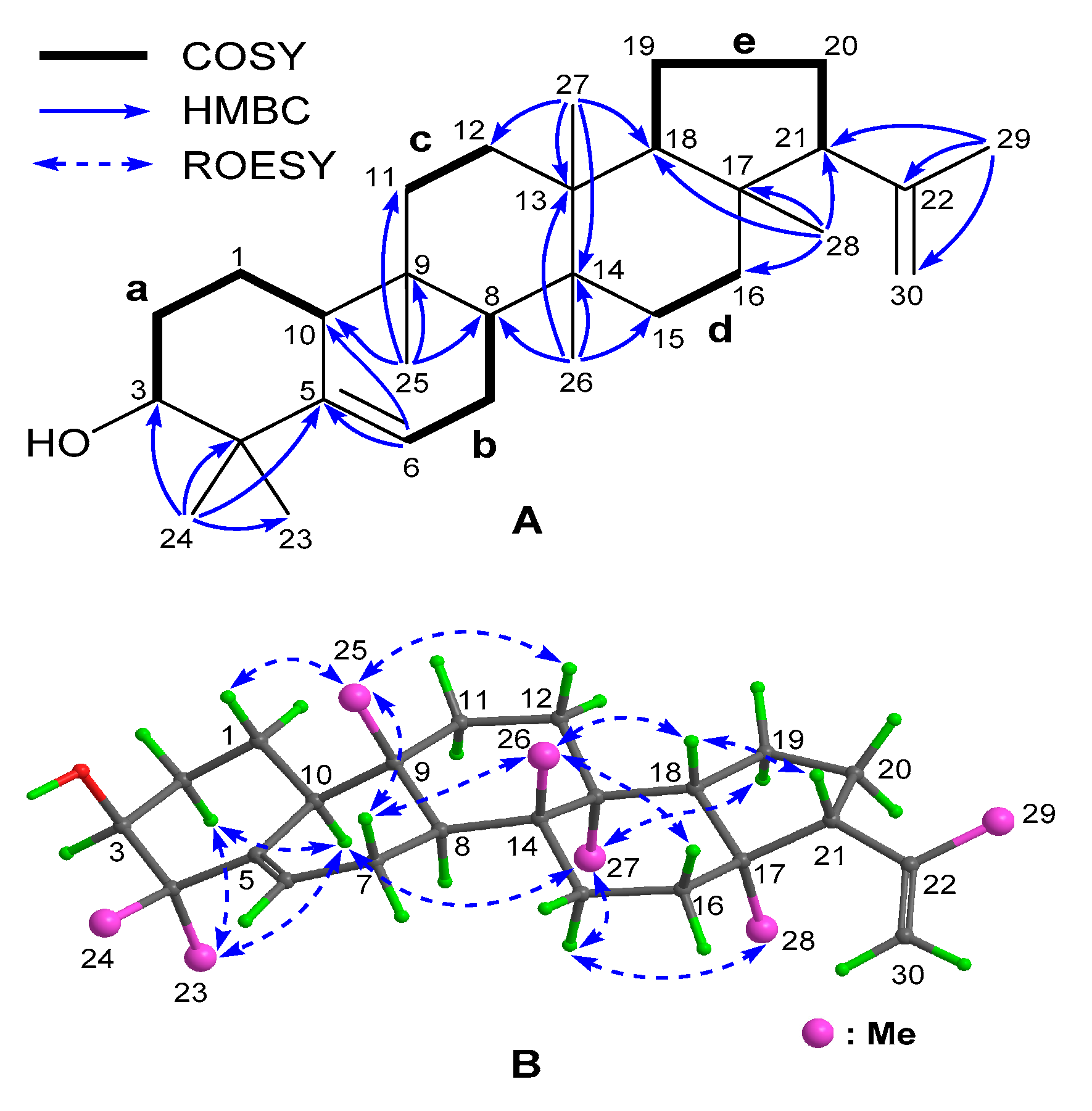 Molecules | Free Full-Text | New e:b-Friedo-Hopane Type Triterpenoids ...