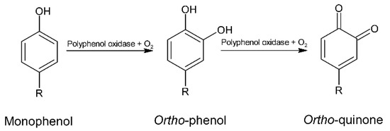 The Chemistry behind Chocolate Production