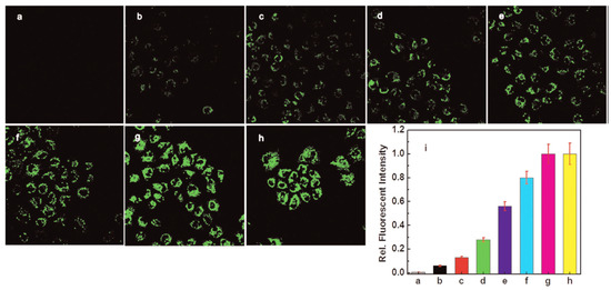 Recent Advances on Iron(III) Selective Fluorescent Probes with Possible ...
