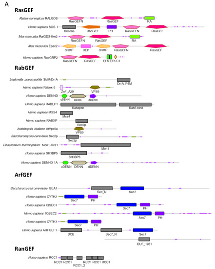 Structural Insights into the Regulation Mechanism of Small GTPases by GEFs