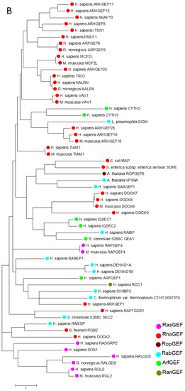Structural Insights into the Regulation Mechanism of Small GTPases by GEFs
