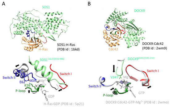 Structural Insights into the Regulation Mechanism of Small GTPases by GEFs
