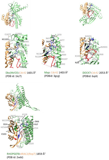 Structural Insights into the Regulation Mechanism of Small GTPases by GEFs