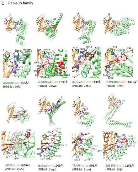 Structural Insights into the Regulation Mechanism of Small GTPases by GEFs