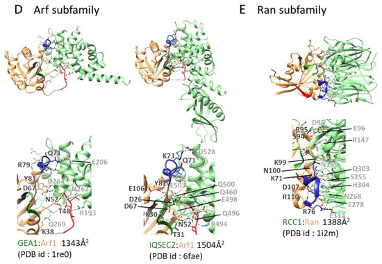 Structural Insights into the Regulation Mechanism of Small GTPases by GEFs