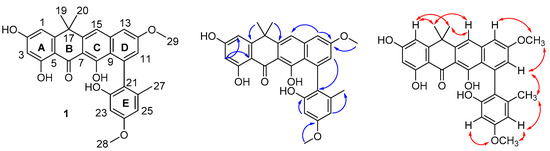 Accramycin A, A New Aromatic Polyketide, from the Soil Bacterium ...