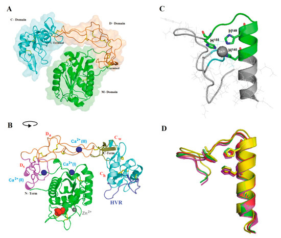 Molecules | Special Issue : Metalloproteins