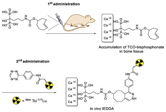 Recent Advances in Bioorthogonal Click Chemistry for Efficient ...