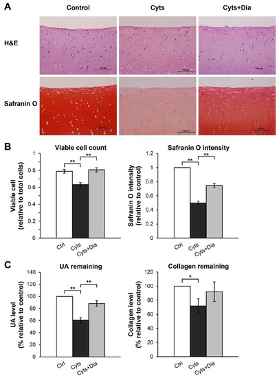 Proinflammatory Effects of IL-1β Combined with IL-17A Promoted ...