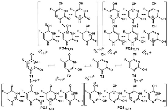 Molecules | Free Full-Text | 5-Fluorouracil—Complete Insight into Its ...