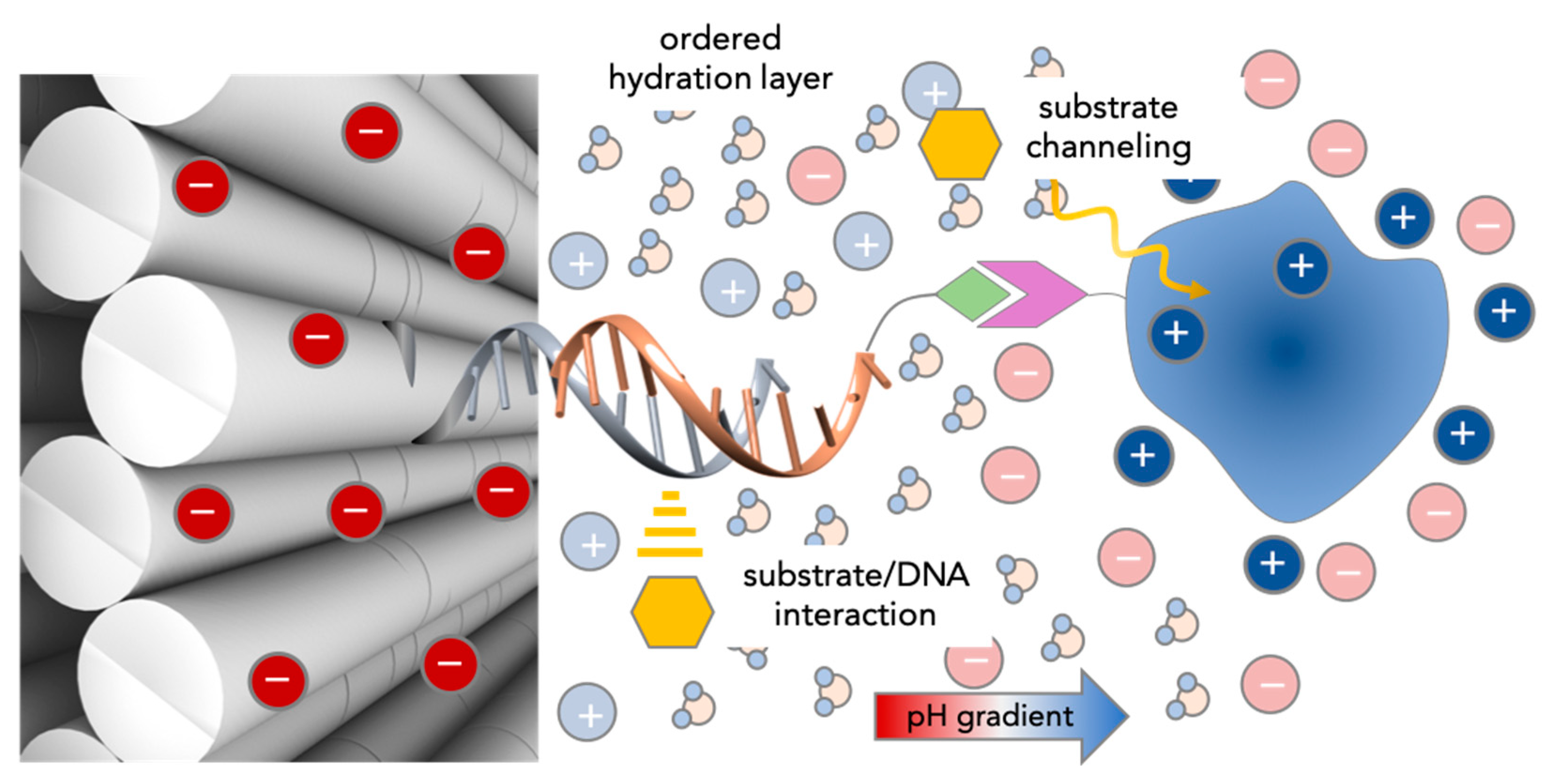 Manipulating Enzymes Properties with DNA Nanostructures