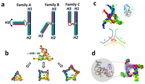 Modulating Immune Response with Nucleic Acid Nanoparticles