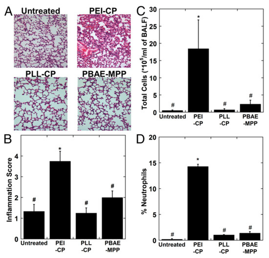 Biodegradable Polymers for Gene Delivery