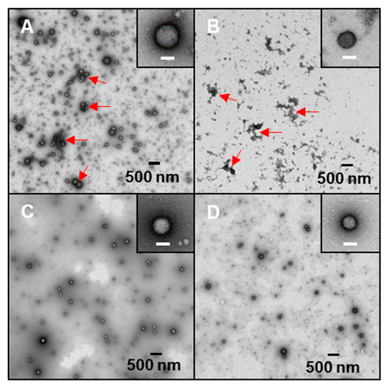 Oxidized Dextran as a Macromolecular Crosslinker Stabilizes the Zein ...