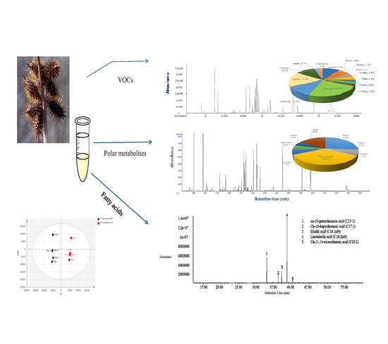 Molecules | Special Issue : Recent Advances in Food and Natural Product ...