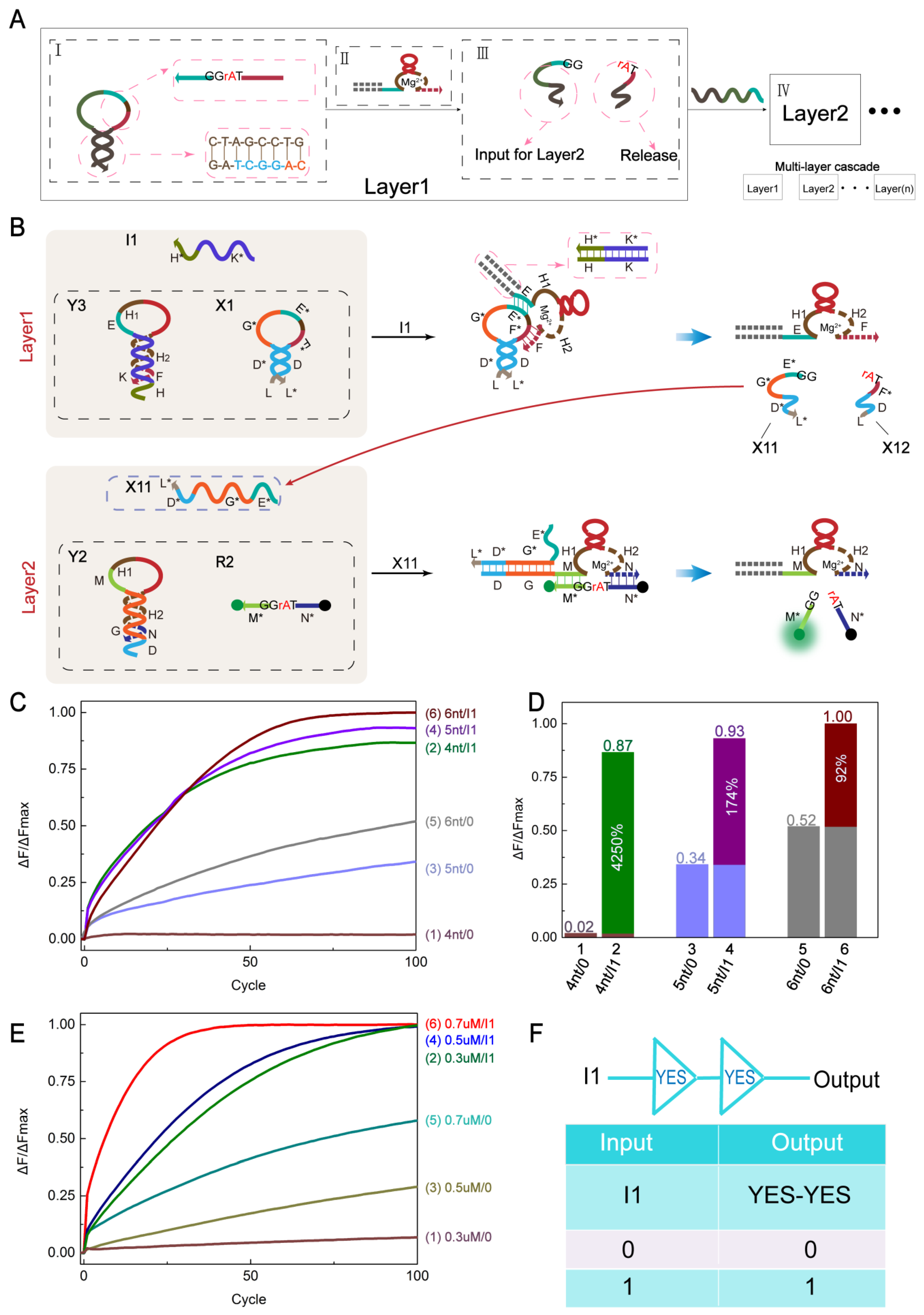 Constructing Controllable Logic Circuits Based on DNAzyme Activity