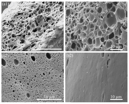 Molecules | Free Full-Text | Fabricating Fibers of a Porous-Polystyrene ...