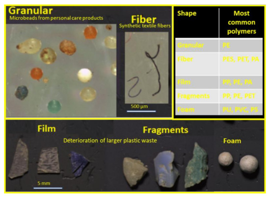 Membrane Processes for Microplastic Removal