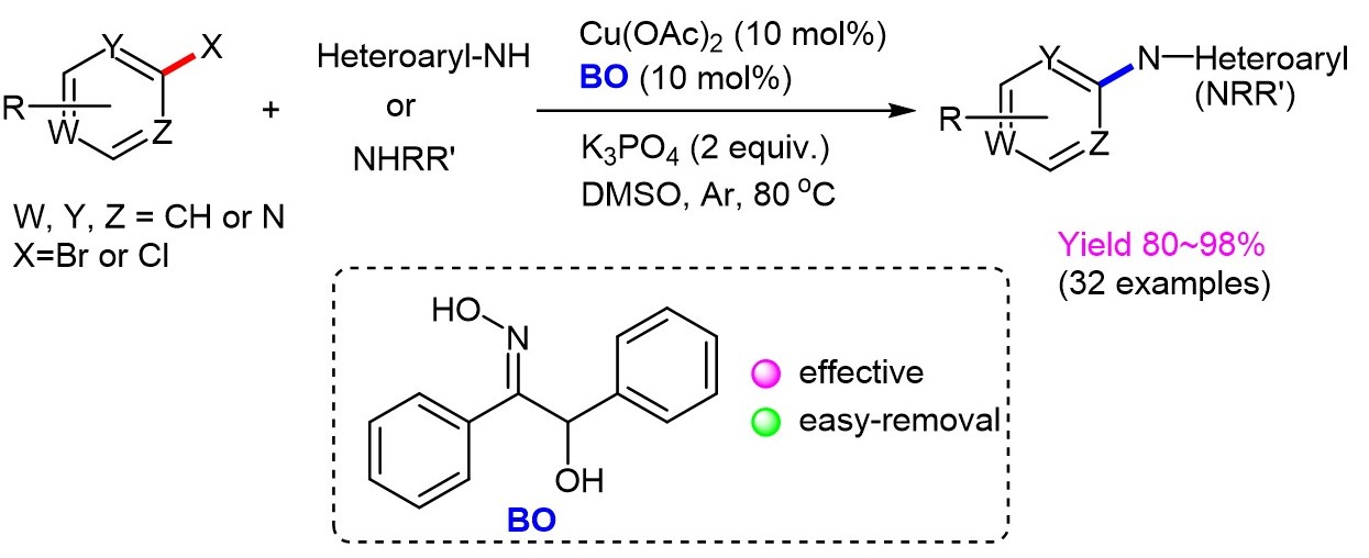 Molecules | Free Full-Text | Cu(II)-Catalyzed C-N Coupling of (Hetero ...