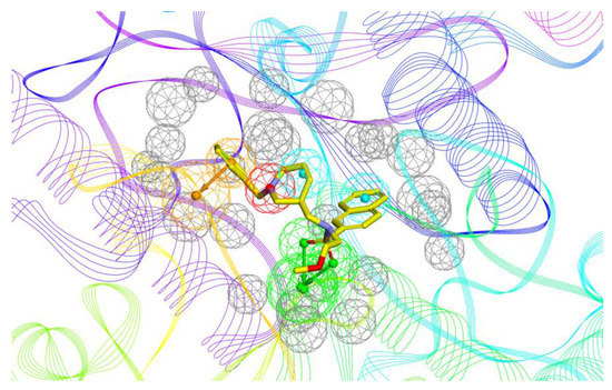 Discovery of Selective Butyrylcholinesterase (BChE) Inhibitors through ...