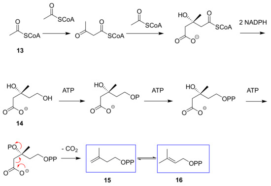 Molecules | Free Full-Text | Biosynthesis of Isoprene Units in ...