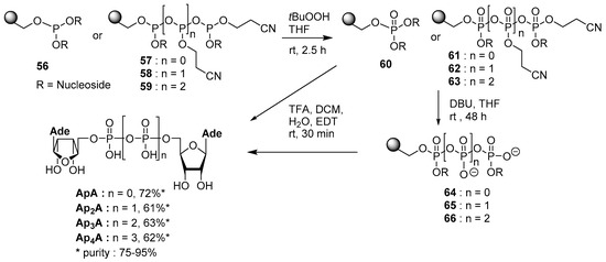 Synthetic Strategies for Dinucleotides Synthesis