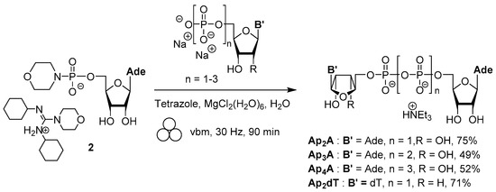 Synthetic Strategies for Dinucleotides Synthesis
