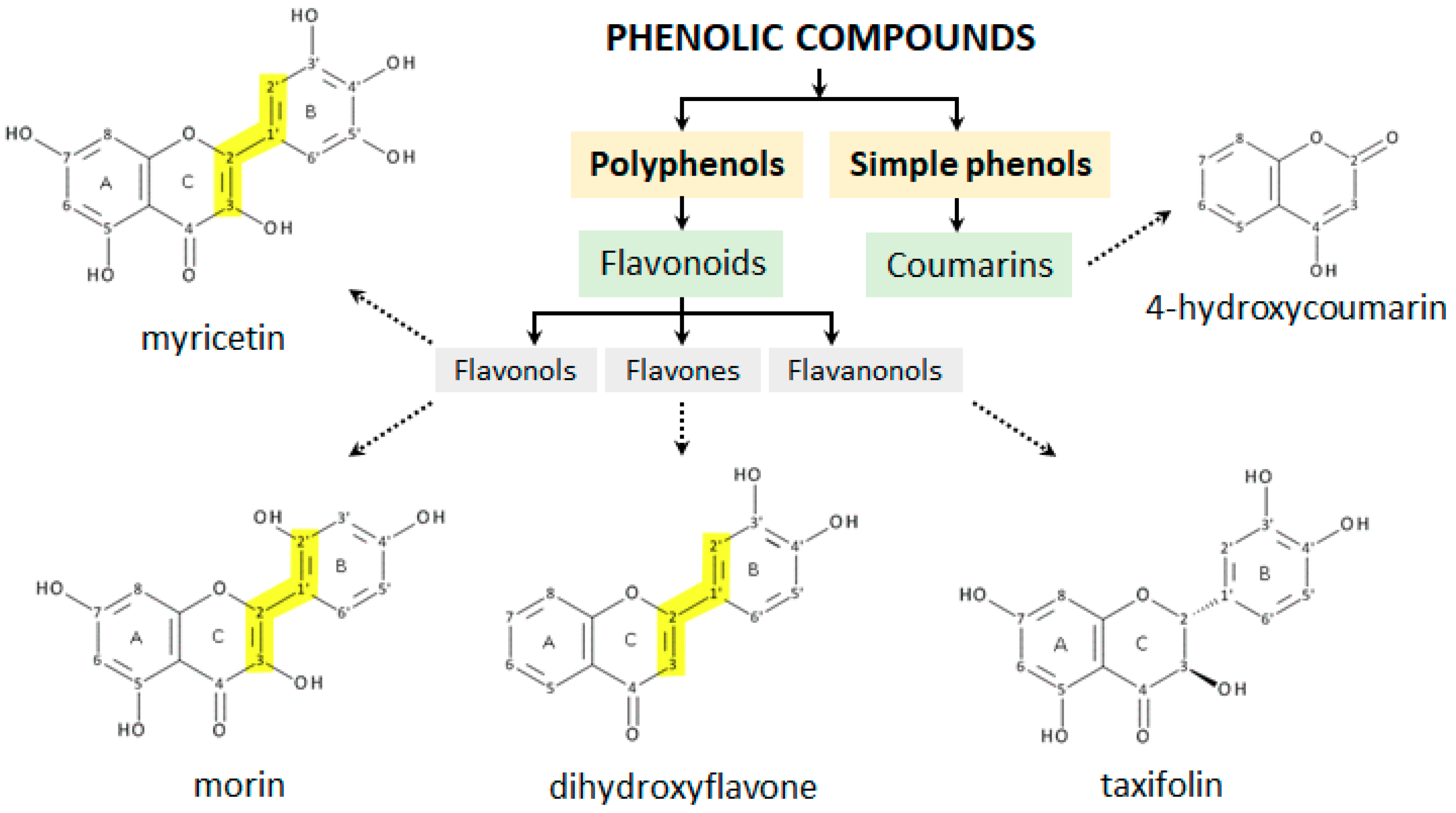 Molecules Free Full Text A Switch Between Antioxidant And