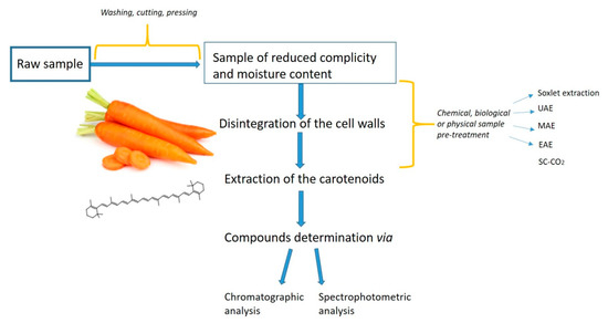 Green Chemistry Extractions of Carotenoids from Daucus carota L.—Supercritical Carbon Dioxide ...