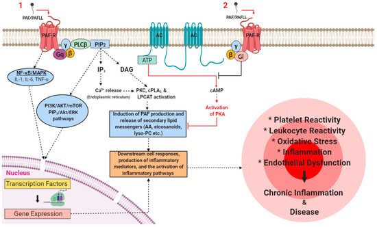 Molecules | Free Full-Text | Forty Years Since the Structural ...