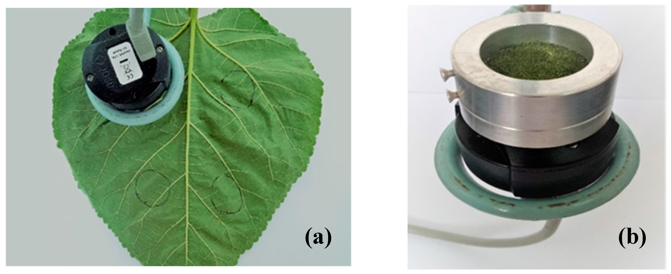 Quantification of Water, Protein and Soluble Sugar in Mulberry Leaves ...