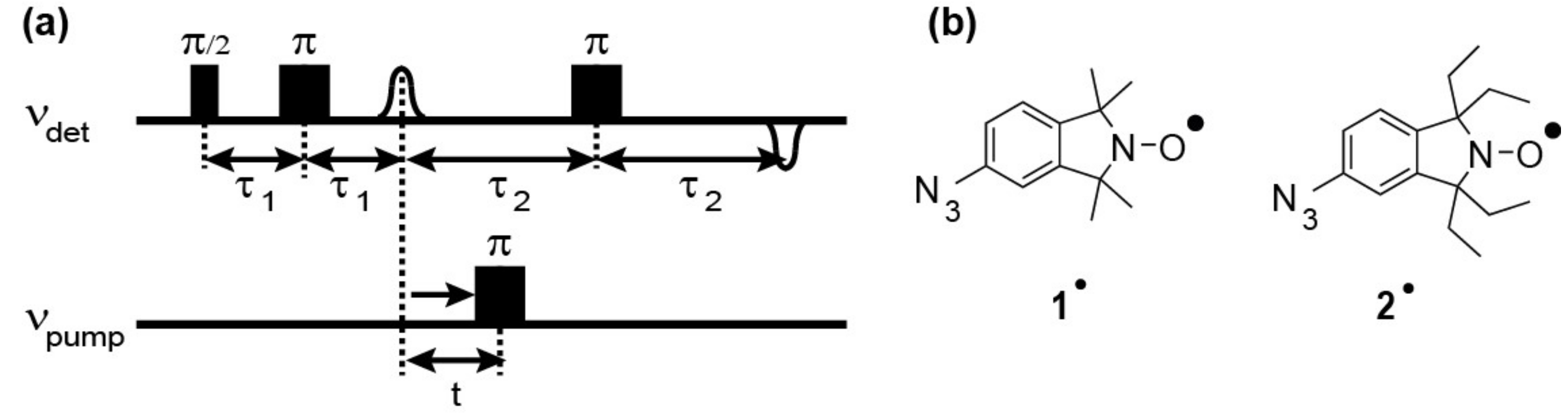 Site-Directed Spin Labeling of RNA with a Gem-Diethylisoindoline Spin ...