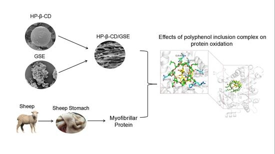 Molecules | Free Full-Text | Preparation and Characterisation of ...