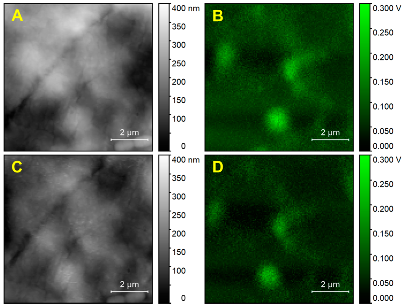 Characterization of Intact Eukaryotic Cells with Subcellular Spatial ...