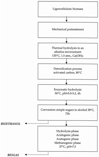 Study on the Sequential Combination of Bioethanol and Biogas Production ...