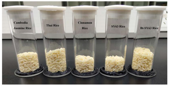 Molecules | Free Full-Text | Identification of Rice Varieties and ...