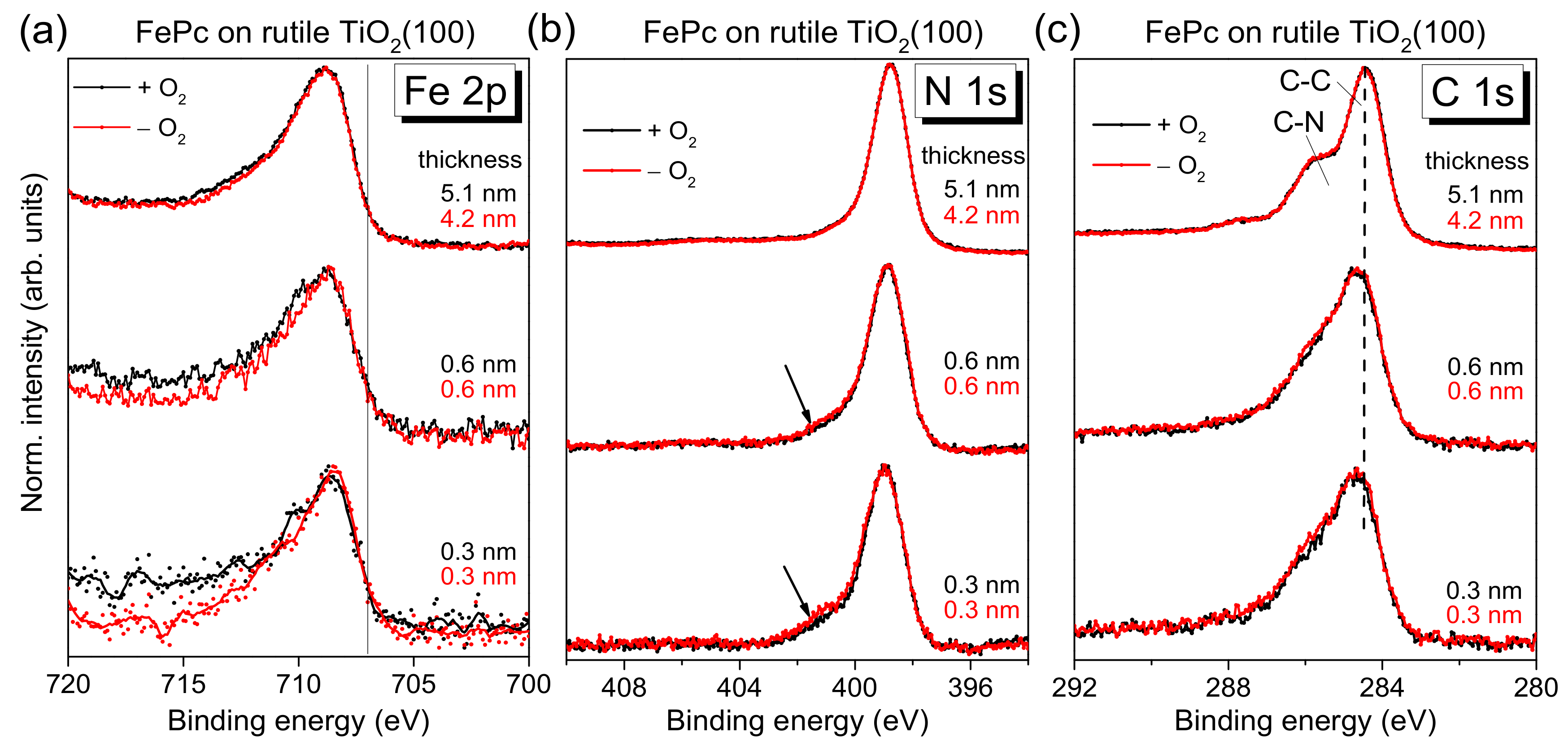 FePc and FePcF16 on Rutile TiO2(110) and (100): Influence of the ...