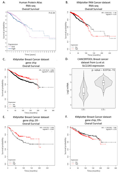 SLC22A5 (OCTN2) Carnitine Transporter—Indispensable for Cell Metabolism ...