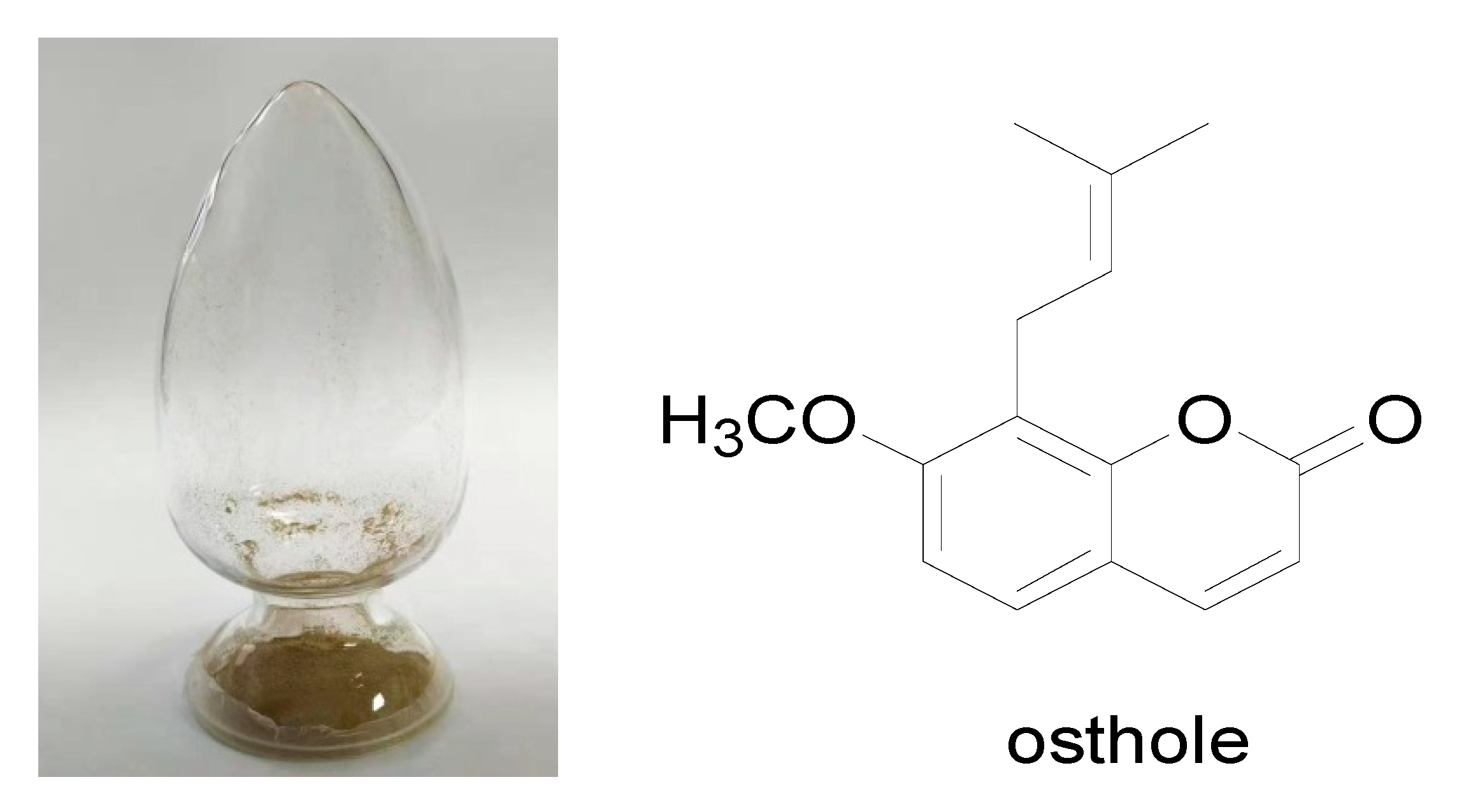 Inhibitory Effect of Osthole from Cnidium monnieri on Tobacco Mosaic ...
